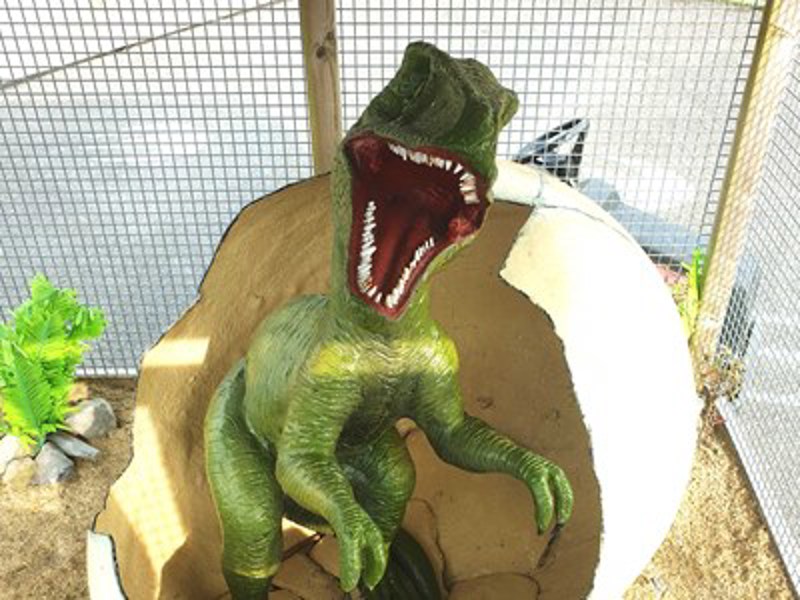 Things To Do Around Tenby | Theme Parks UK