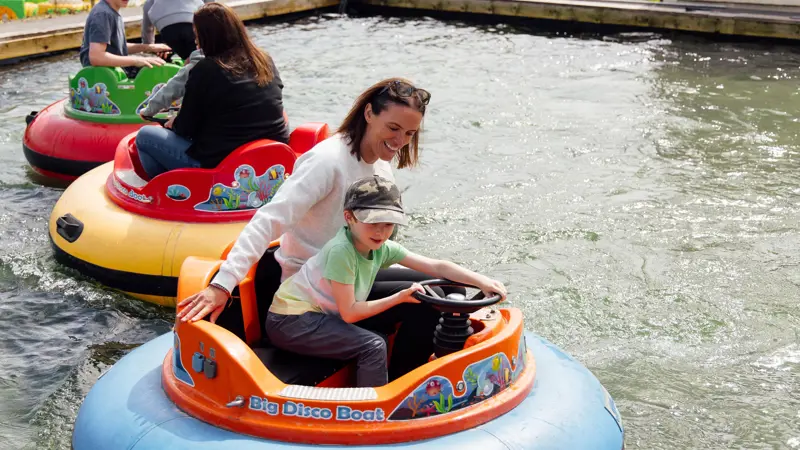 Disco Boats | The Dinosaur Park